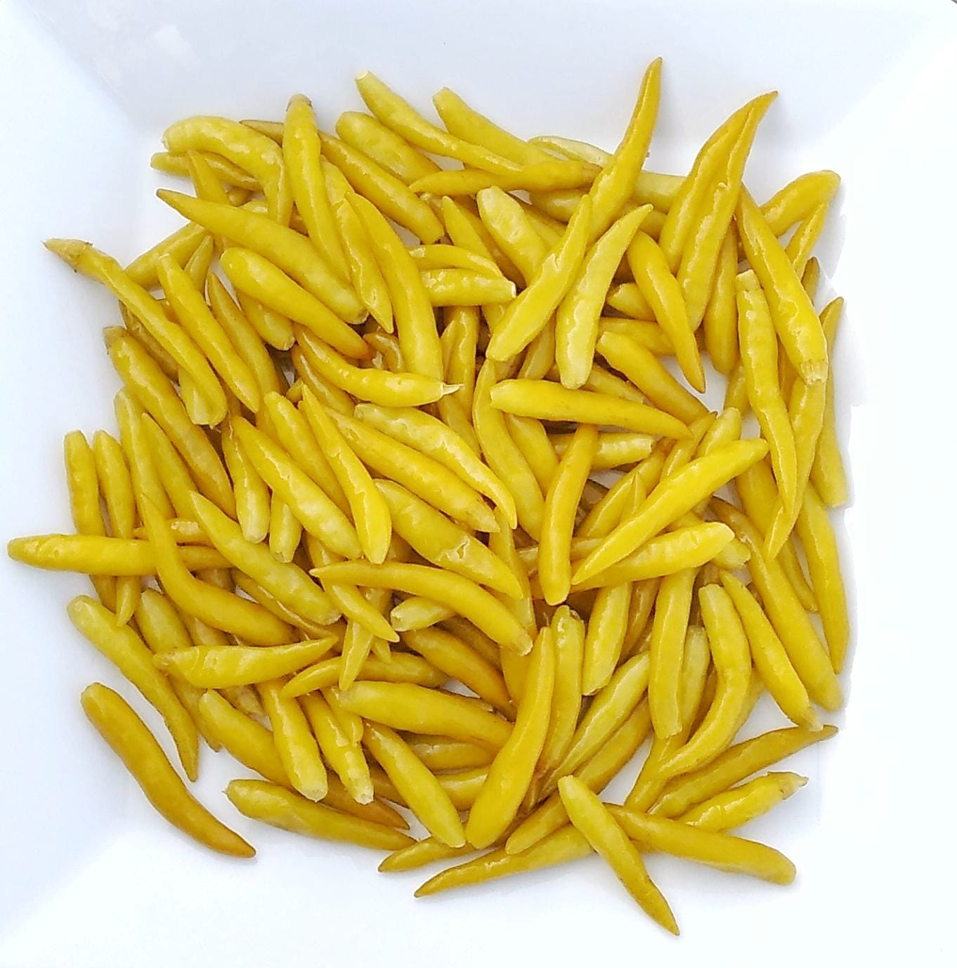 Biberler – Piperro